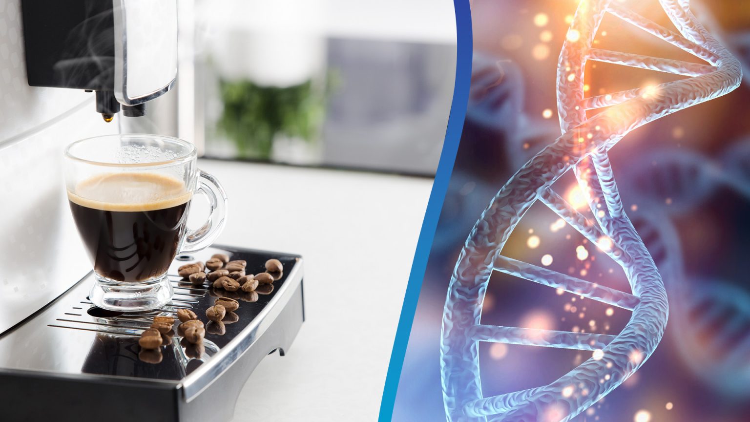 Innovation Launchpad Network+